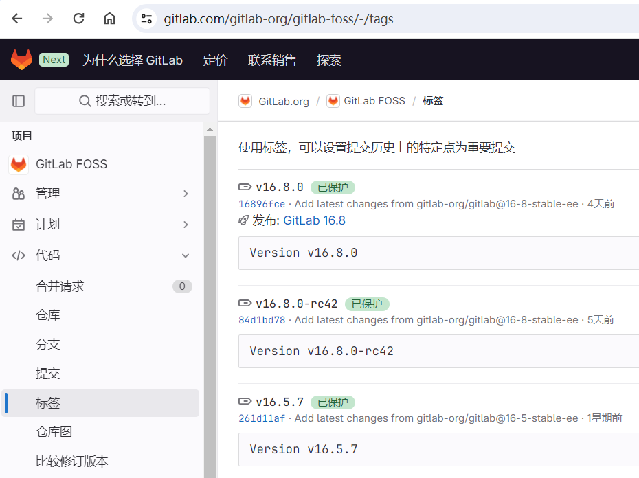威联通 NAS 安装 GitLab + GitLab Runner 实现自动打包生成 apk 文件 - 『魏超』的 blog